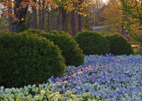 Saunders Brothers Nursery, Orchard & Farm Market
